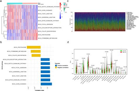 Identification And Validation Of A Novel Glycolysis Related Gene