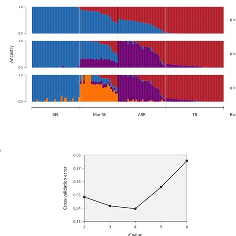Admixture Analysis Among The Racing Breeds Using Belgian Bel As