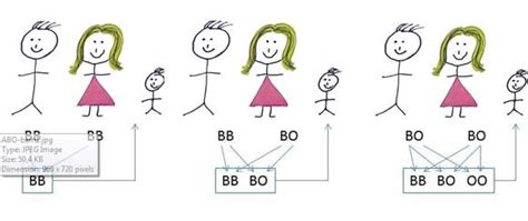 Spør En Forsker Blodtyper Og Foreldreskap Ntnu Medisin Og Helse