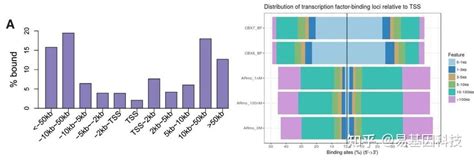 Chip Seq应用领域、研究思路、数据挖掘、下游实验、实验关键 易讲堂 知乎