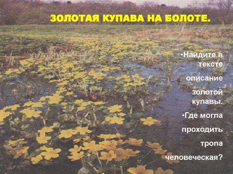 М М Пришвин «Кладовая солнца Нравственная суть взаимоотношений Насти и Митраши презентация