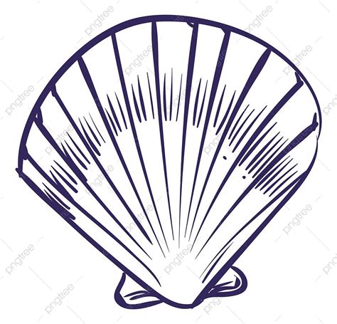 Clam Shell Outline