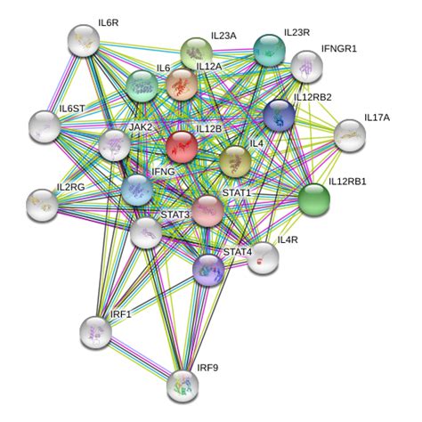 Il12b General Information Sino Biological