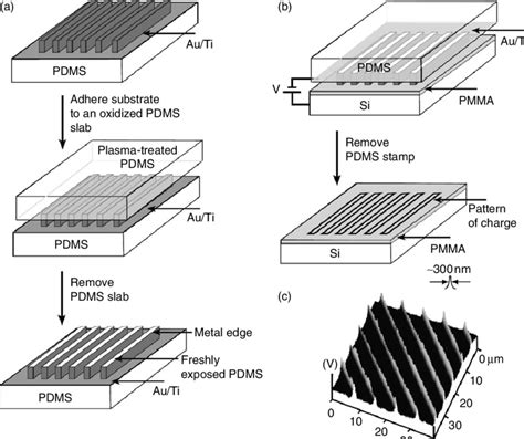 Formation And Use Of A Patterned Pdms Stamp Comprising Thin Metallic