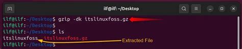 How To Unzip A Gz File Without Removing The Gzipped File Its Linux Foss