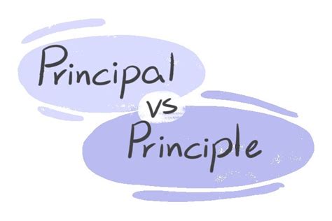 Principal Vs Principle In English Langeek