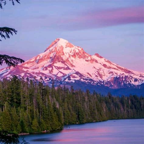 前列腺癌骨转移中医用药，如何减轻骨转移疼痛？ 患者 治疗 希福