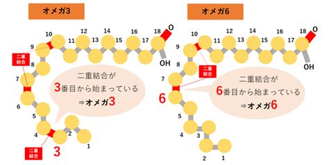 オメガ6系脂肪酸とオメガ3系脂肪酸とは何か B型肝炎からの肝硬変と肝臓がん闘病記録