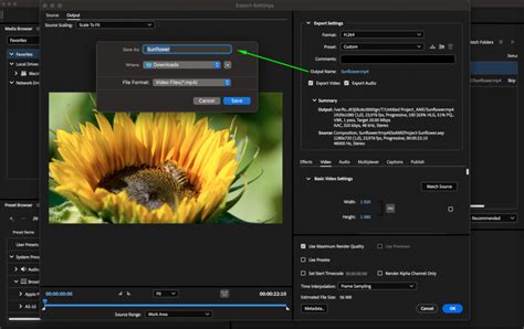How To Export An MP From After Effects Aejuice