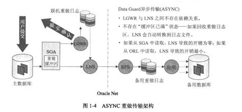 Data Guard架构（一）dataguard 1对n架构 Csdn博客