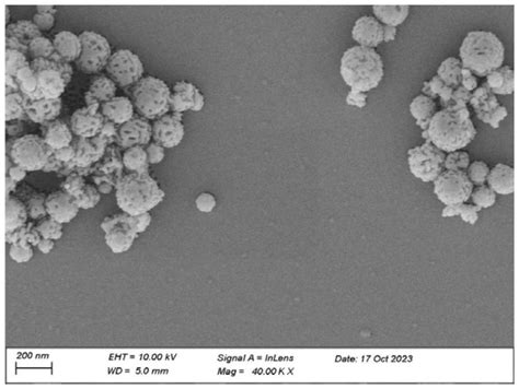 一种改性壳聚糖及其制备方法 2
