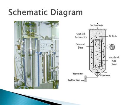 Ppt Chapter 4 Airlift Bioreactor Powerpoint Presentation Free Download Id2875787