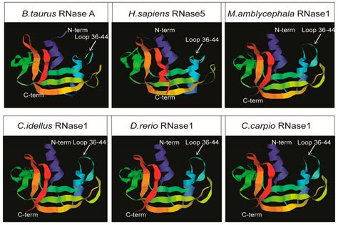 Ijms Special Issue Fish Molecular Biology