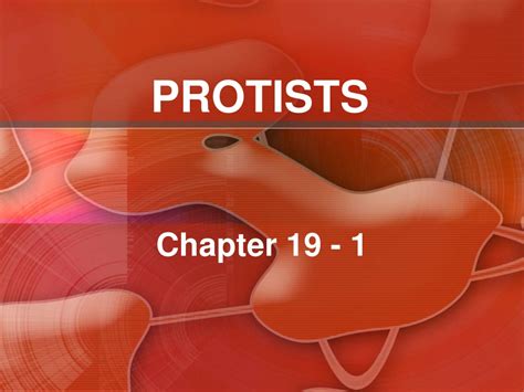 Ppt Protists Powerpoint Presentation Free Download Id 9354263