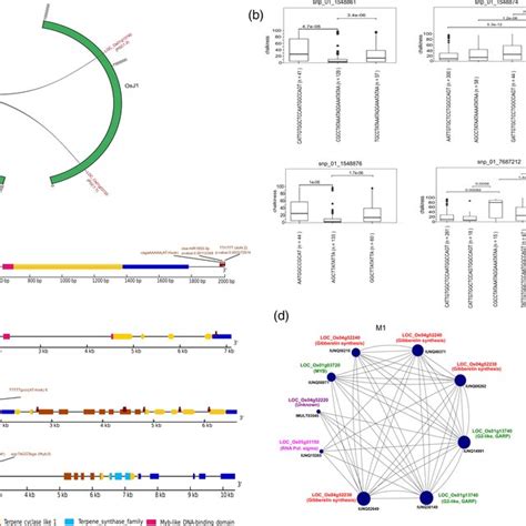 Epistatic Interactions Between Chromosomes 1 And 4 A Two Half