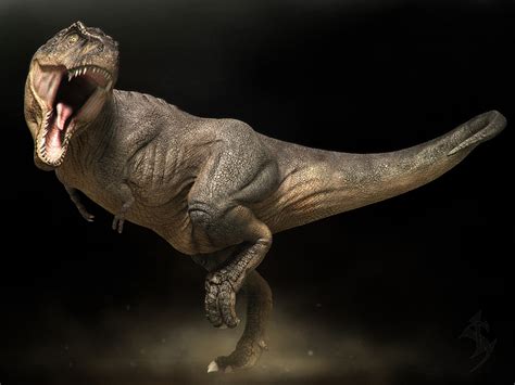 🔥 [70 ] Tyrannosaurus Rex Wallpapers Wallpapersafari