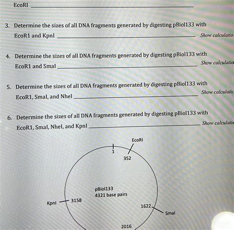 Answered Ecori 3 Determine The Sizes Of All Dna Fragments Generated Answered Ecori 3 Determine The Sizes Of All Dna Fragments Generated
