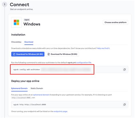 社内開発環境を一時的に外部公開できるngrokの使い方 security qiita