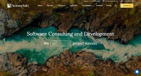 Top Software Consulting Companies Nov 2025 Rankings Designrush