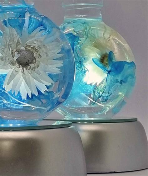 하바리움 만들기 전문과정 수강후기 네이버 블로그