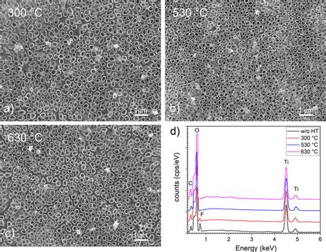 Representative Sem Images X10 K Of Tio2 Titania Nanotube Arrays Download Scientific Diagram