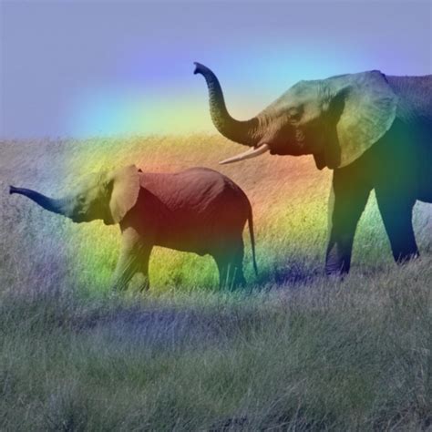 Chapters Deep Learning With Python