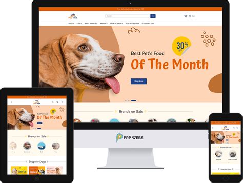 Shopify Plus Development Shopify Experts Prp Webs