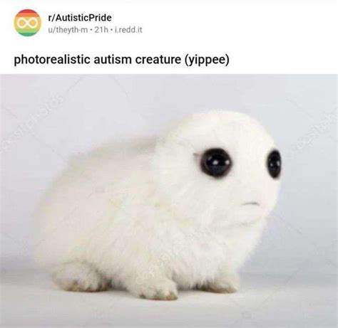 Kym Review The Top 10 Memes Of 2022 Know Your Meme
