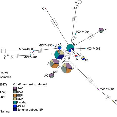 Historical Range Of Addax A Showing The Historic Addax Range With