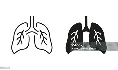 건강한 기관지 호흡기 계통 라인과 실루엣 아이콘 폐 인간 내부 장기 픽토그램 세트 흰색 배경에 호흡 질환 기호 모음입니다 격리된