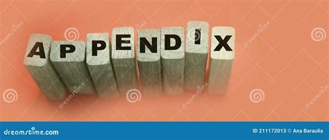 Appendix Word Written On Wood Block Appendix Text On Table Concept Stock Image Image Of