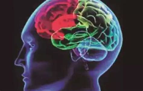 Lack Of Coordination Between Neural Assemblies Of Key Brain Regions