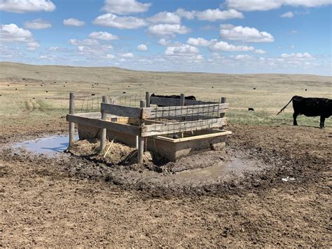 More Photos The Stock Step