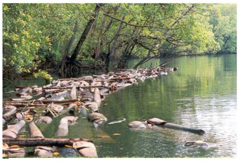 remote sensing free full text decision tree and random forest classification algorithms for