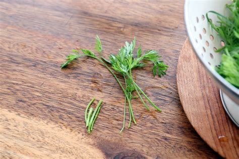 당근잎 세척 당근잎 샐러드