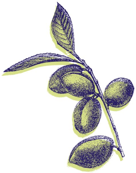 Trader Joes Locations In Tulsa Oklahoma Grocery Store