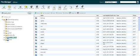 How To Set Permissions On Particular Folder Cpanel Plesk
