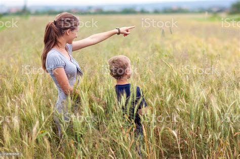 손을 가리키는 젊은 여자와 작은 소년 은 밀 밭에 서 있는 아들 자연과의 단합과 방법 개념을 보여주는 가족에 대한 스톡 사진 및 기타 이미지 Istock