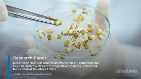 Fatima Ezzahra Mengoub Posted On Linkedin