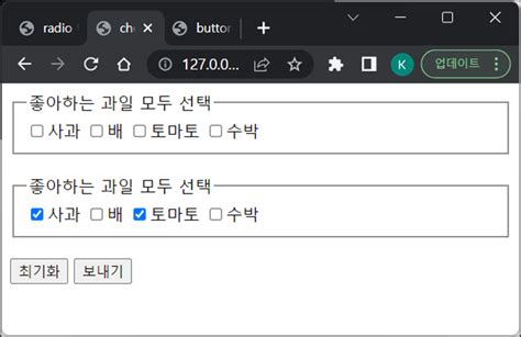 Html 라디오 Radio 버튼 체크박스 Checkbox 사용 예제