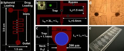 Schematic Representation Of The Microfluidic Device For Spheroid