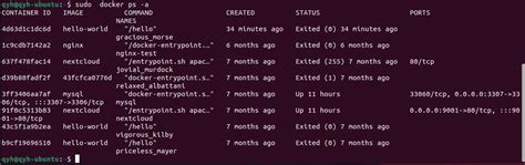 Linux Docker 搭建wordpress个人博客避坑篇linux下docker搭建个人站点 Csdn博客