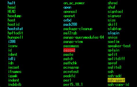 Linux Unix Terminal中文件 目录的颜色各代表什么意思 逆火狂飙 博客园