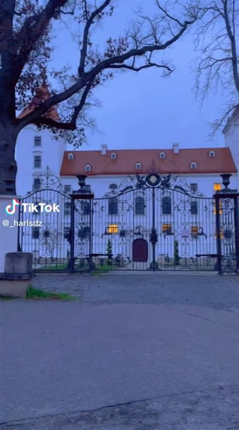 Dragana Mirkovic Kuca