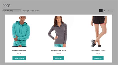 24 Woocommerce Shortcodes Type Uses And Examples 2025