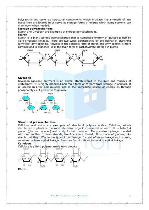 Important Questions For Class 11 Biotechnology Chapter Structure And Function Of Macromolecules