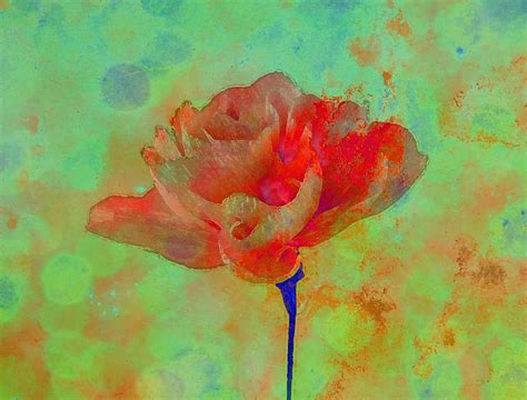 Flora Digital Art By Alex Graves Fine Art America