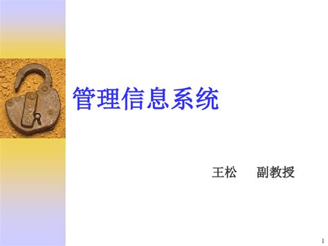 信息系统实施 Word文档在线阅读与下载 无忧文档