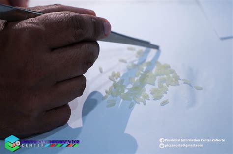 Pia Rice Classification Seminar Enhances Eo 39 Implementation In