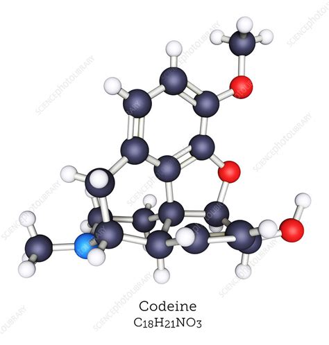 Codeine Molecular Model Stock Image C042 9992 Science Photo Library